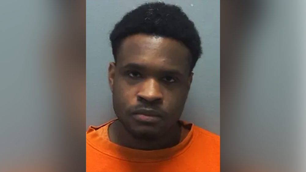 Georgia man gets life after attack on woman he hired to clean - WJCL