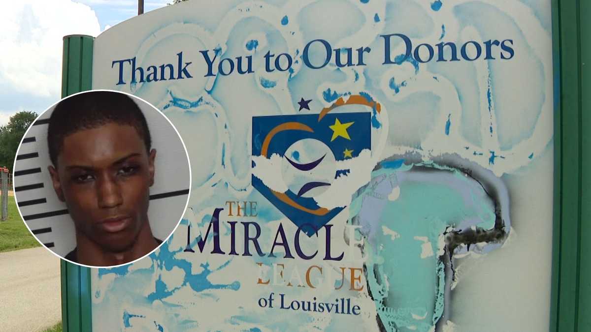 City works to remove graffiti after vandals target Miracle League of ...