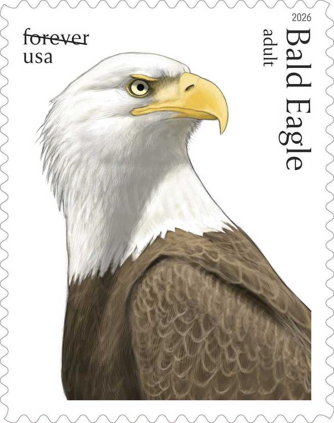USPS releases bald eagle stamps for America’s 250th birthday
