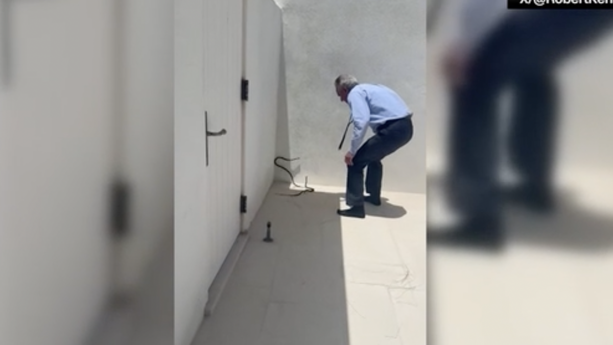 RFK Jr. posts video of himself wrangling snakes in Florida