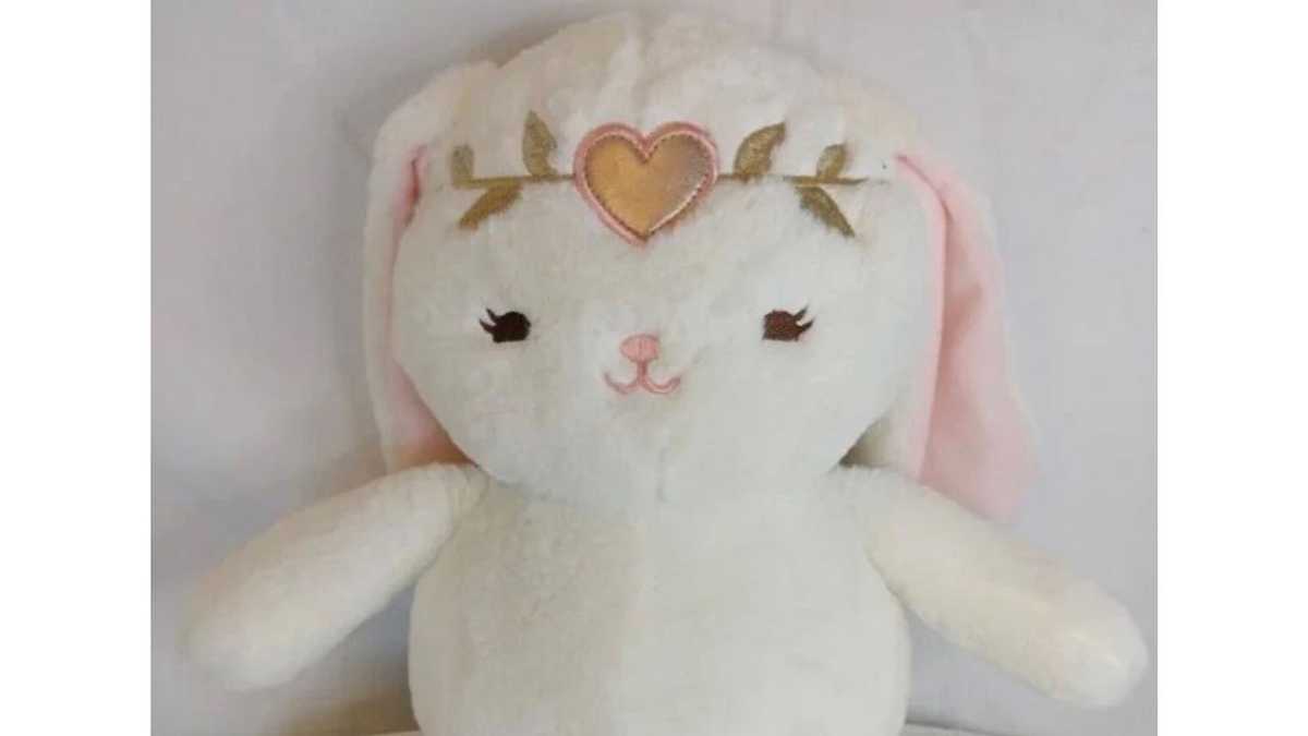 New Hampshire mom asks to help find missing stuffed animal