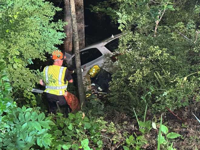 Driver rescued after crash sends car 40 feet down embankment
