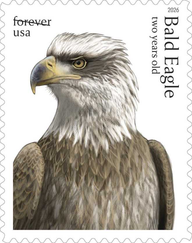 USPS releases bald eagle stamps for America’s 250th birthday