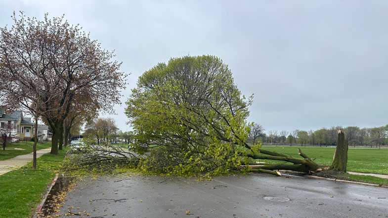 Trees toppled, We Energies reports thousands of power outages in SE ...