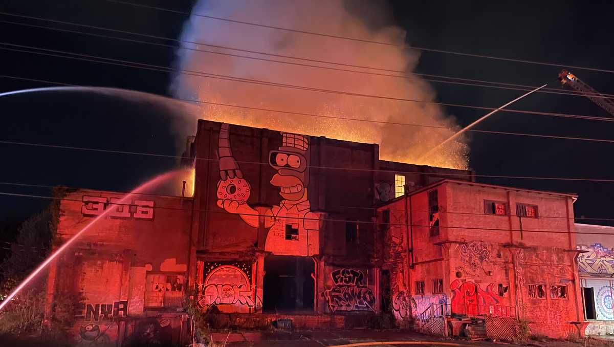 Building with Homer Simpson mural damaged in fire