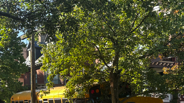 School bus crashes into tree in Pittsburgh's Highland Park neighborhood