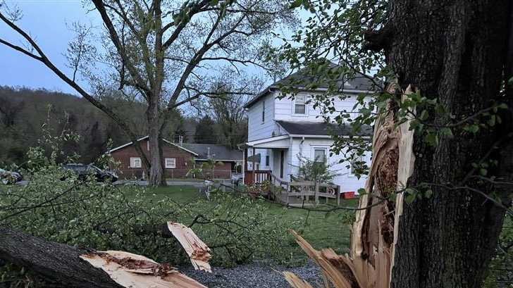 Lightning strike fire to downed trees: Tuesday storms cause damage in ...
