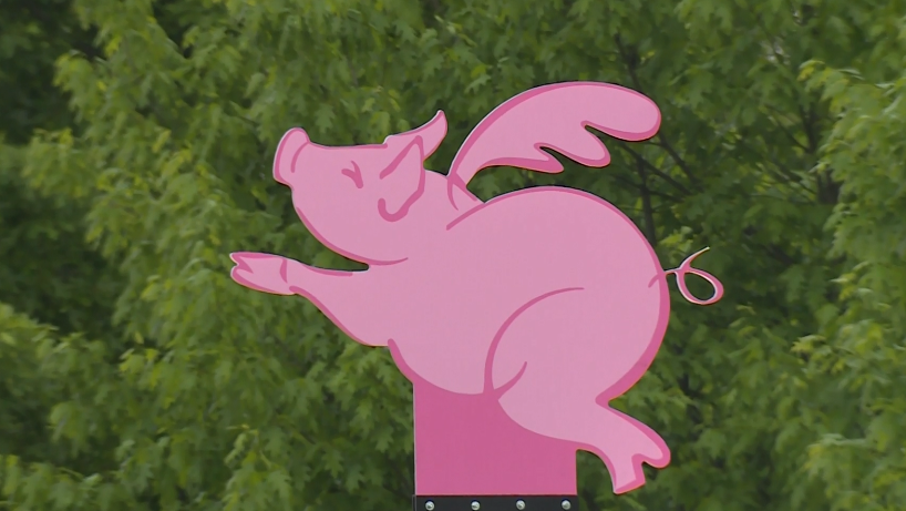 Flying Pig Marathon: Everything you need to know