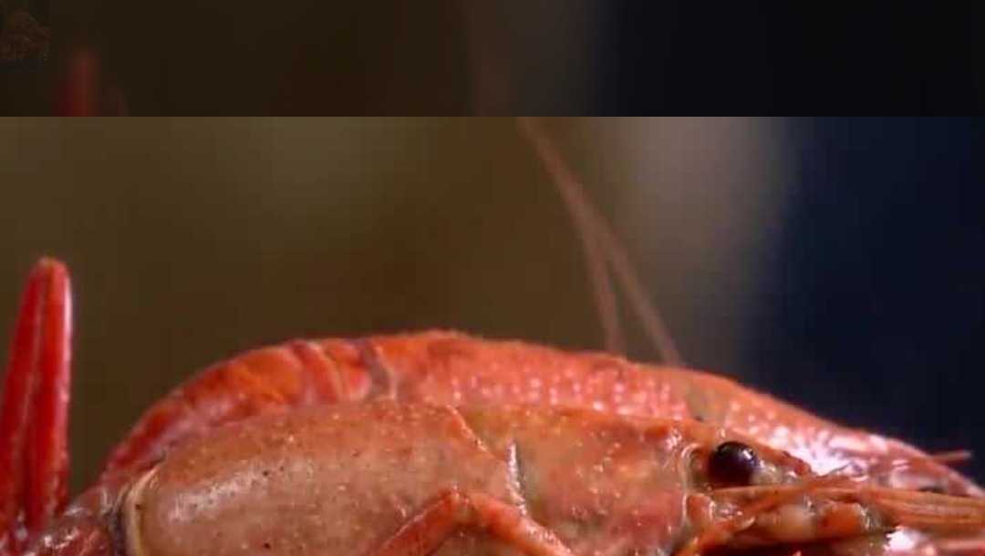 Crawfish prices drop ahead of Memorial Day weekend
