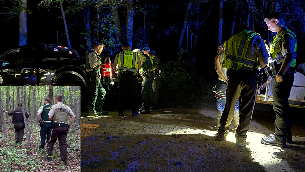 Georgia forestry crackdown nets 25 illegal immigrant arrests - WJCL