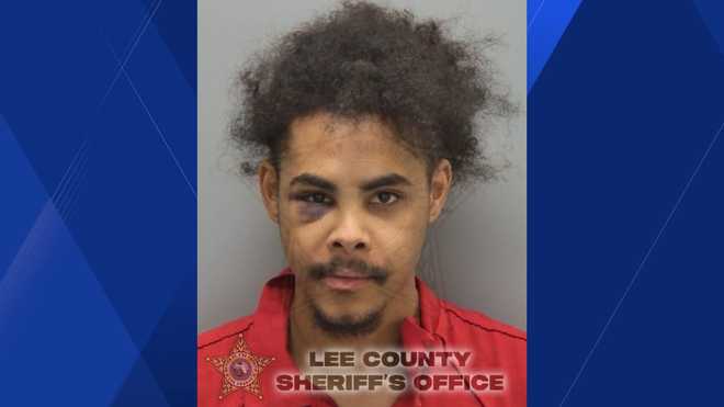 5 suspects linked to crime spree including vehicle theft, burglaries ...
