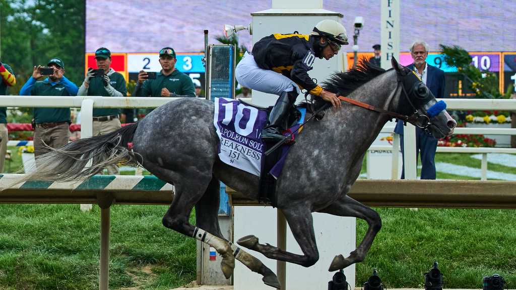 Napoleon Solo wins 151st Preakness Stakes - WJCL
