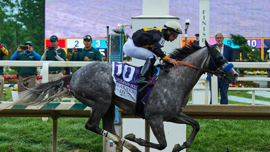 Preakness Guide 2026: What you need to know at Laurel Park