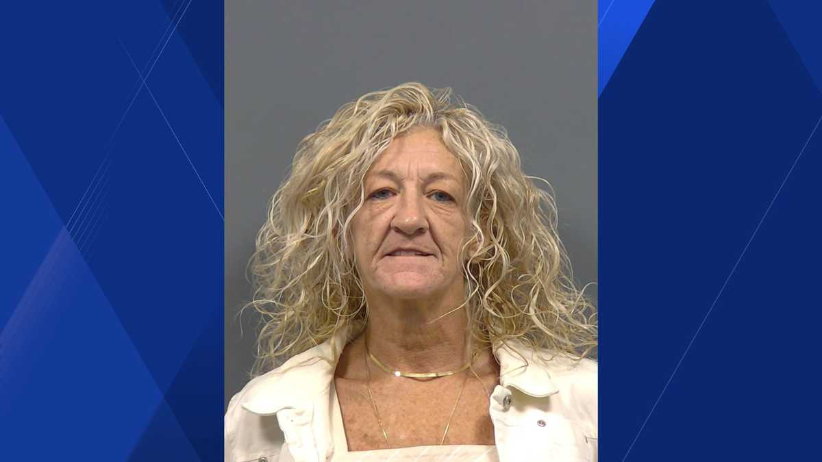 New warrant out for Bonita Springs woman who hit a truck with a crowbar ...