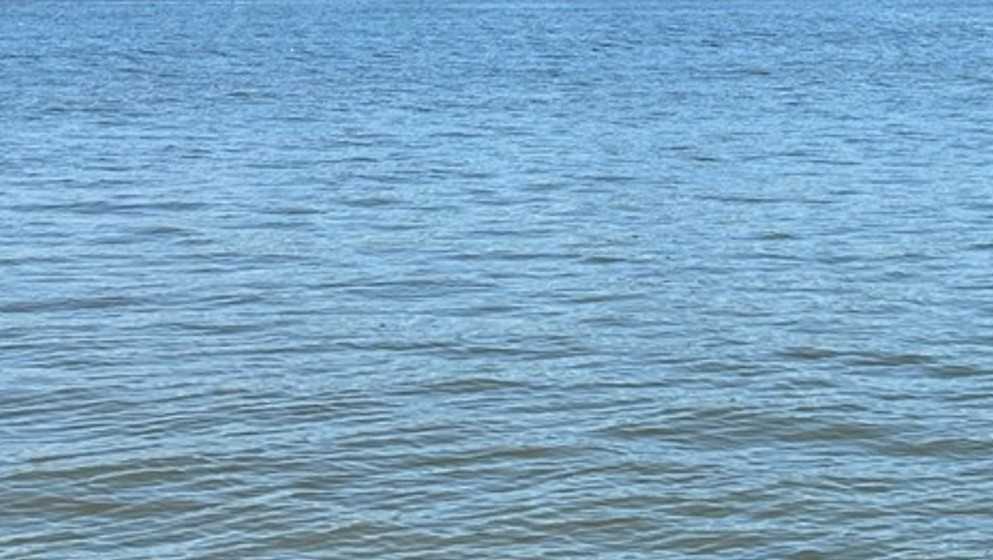 Alabama man dies after ejected, hit by his boat on Lake Demopolis