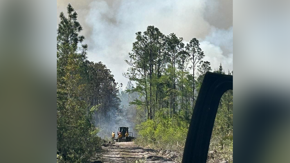 Crews battle Highway 82 fire as smoke closes Brantley County road