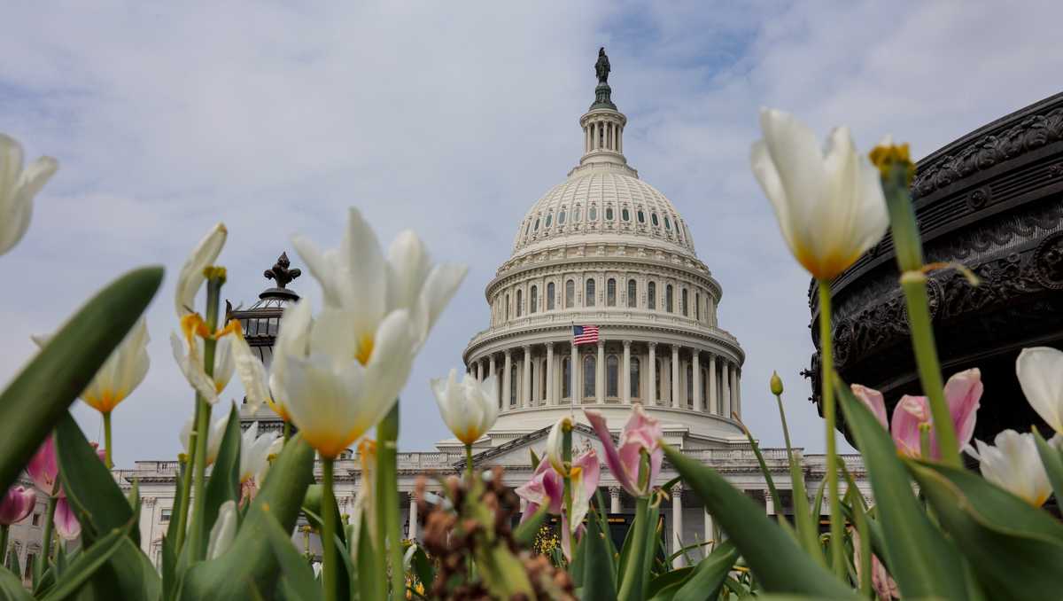 Shutdown, spending and scandals: Congress returns to work