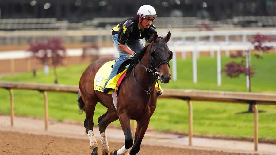 Silent Tactic scratches from Kentucky Derby