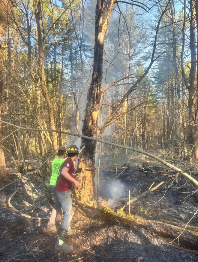 Sheldon Fire Department contains 23-acre brush fire