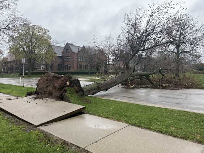 Trees toppled, We Energies reports thousands of power outages in SE ...
