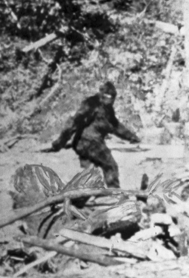 Was Bigfoot just spotted in Ohio? Reported sightings take social media ...