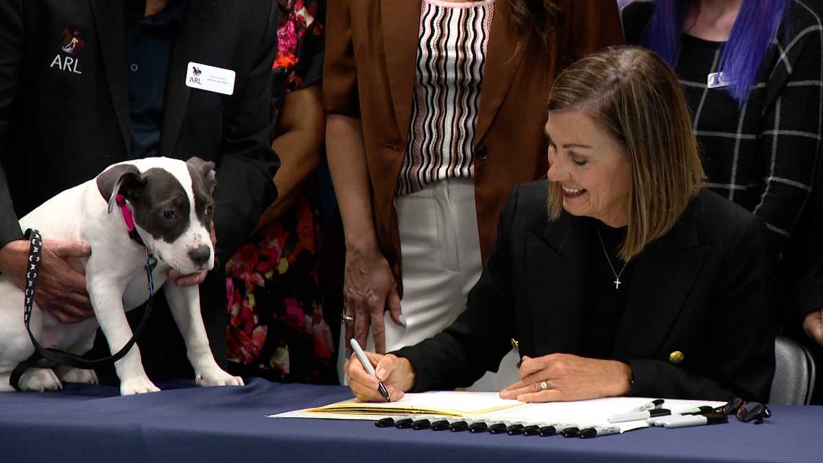 Animal torture now felony under new Iowa law