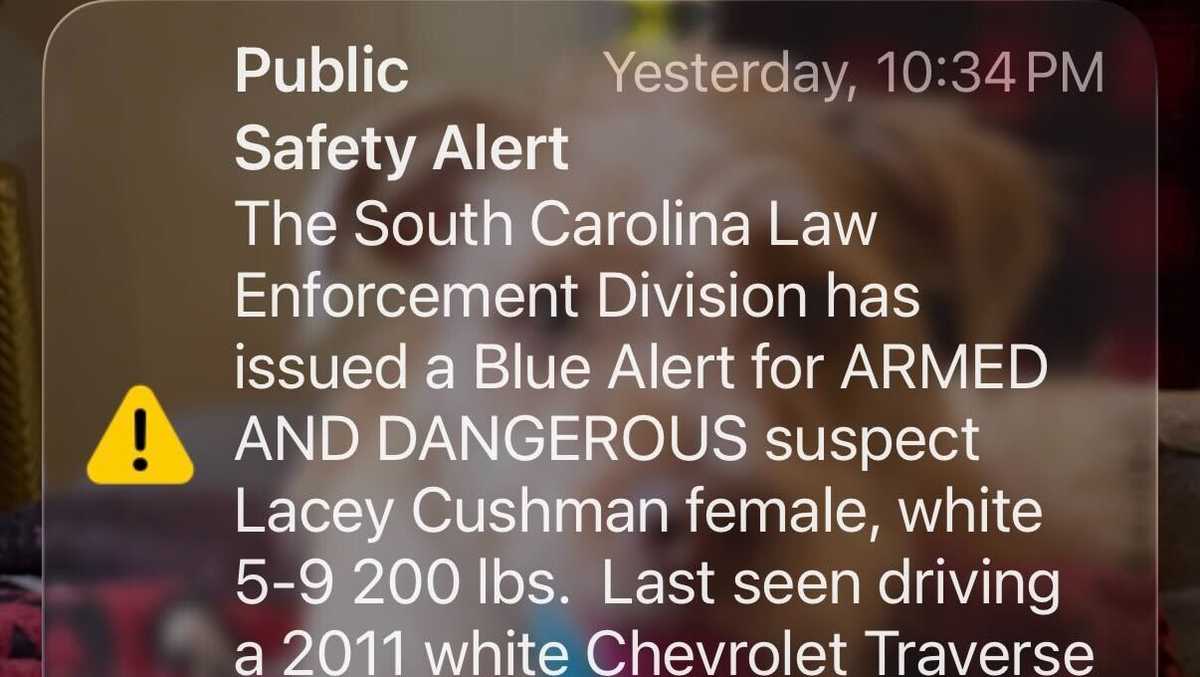 Mayor of Williamston, South Carolina Issues Official Statement ...