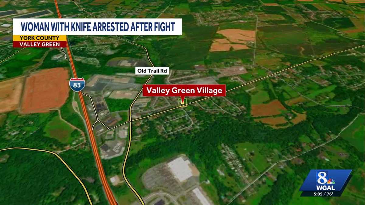 Police break up 2nd fight in 2 months at Newberry Township park