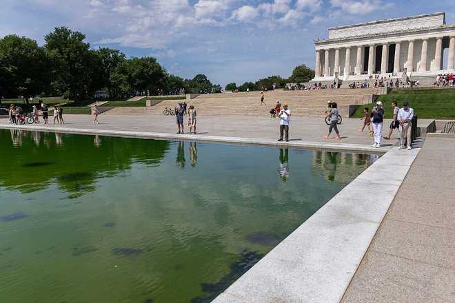 Lincoln Memorial reflecting pool turns green again in D.C.