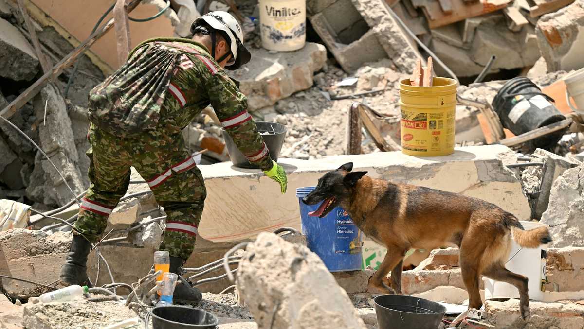 Hope Reborn In Colombia As Signs Of Life Emerge Under Earthquake Debris