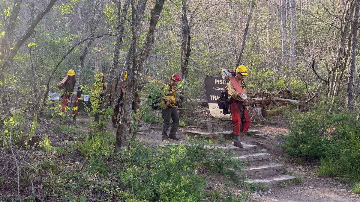 North Carolina: Looking Glass Fire latest updates