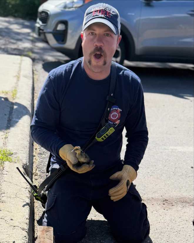 Burlington Fire Department rescues ducklings from storm drain