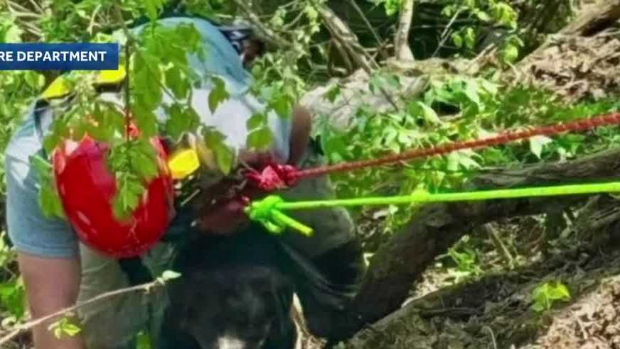 Firefighters rescue dog and owner from 60-foot drop at Berks County quarry