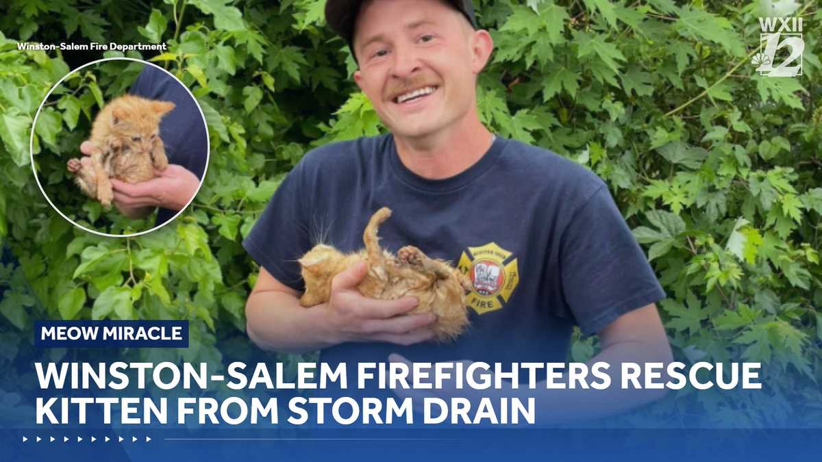 Winston-Salem firefighters rescue kitten from storm drain