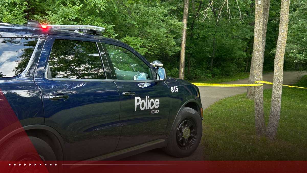 KCFD: Child in critical condition after being struck by tree