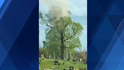 Tree catches fire after being struck by lightning at Chartiers Cemetery ...