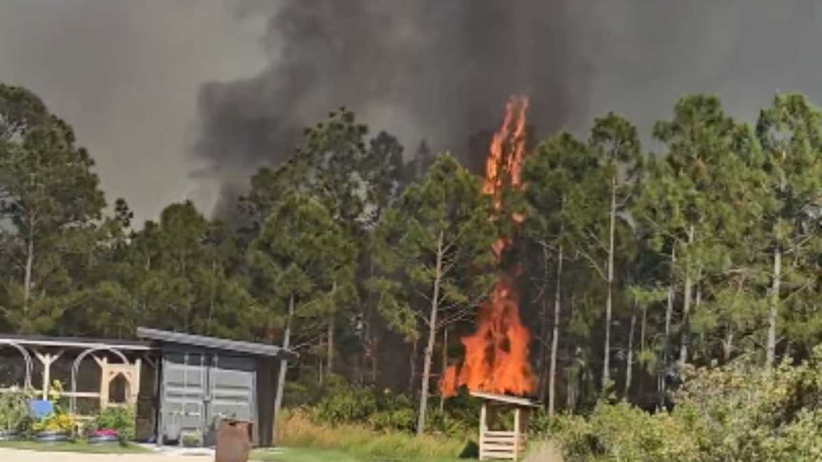 Brush fire grows to 45 acres near Acorn Blvd in Charlotte County - WBBH