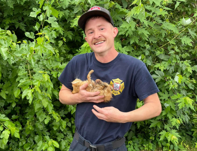Winston-Salem firefighters rescue kitten from storm drain