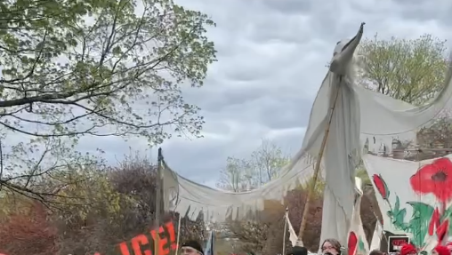 Hundreds gather for protest in St. Albans against federal immigration ...