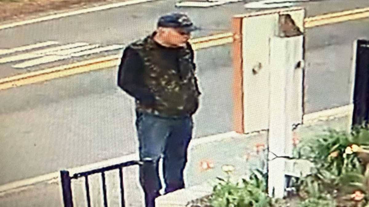 Political signs vandalized in Ogunquit