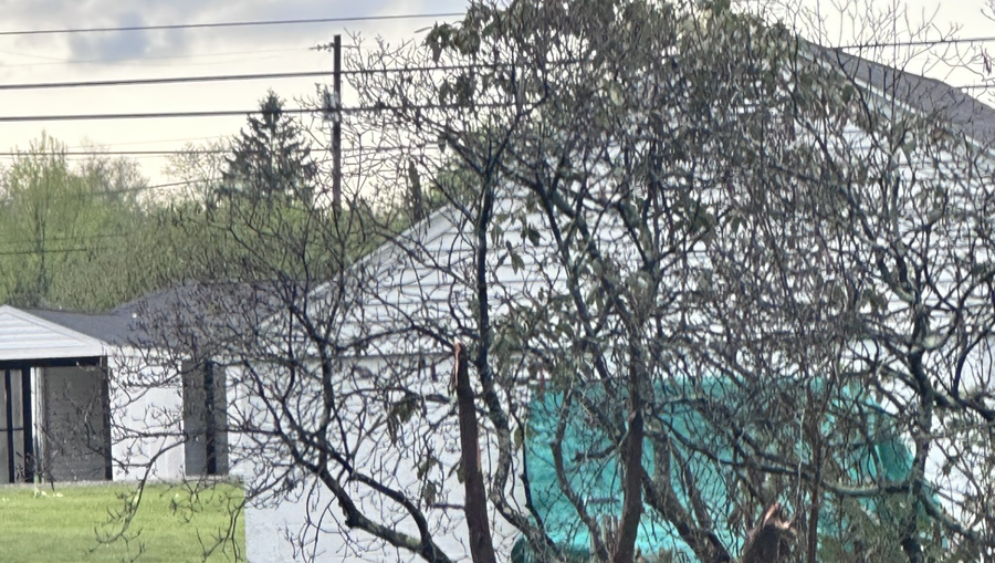 Lightning strike fire to downed trees: Tuesday storms cause damage in ...