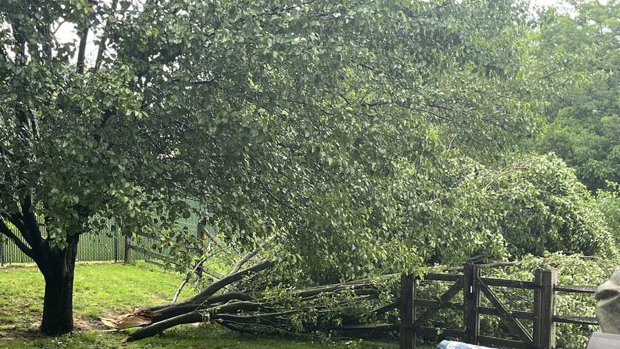 Photos capture storm damage across south-central Pennsylvania