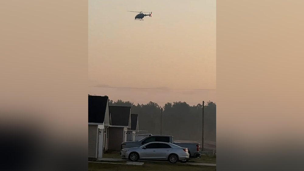 Department of Homeland Security serves warrants in Georgia - WJCL