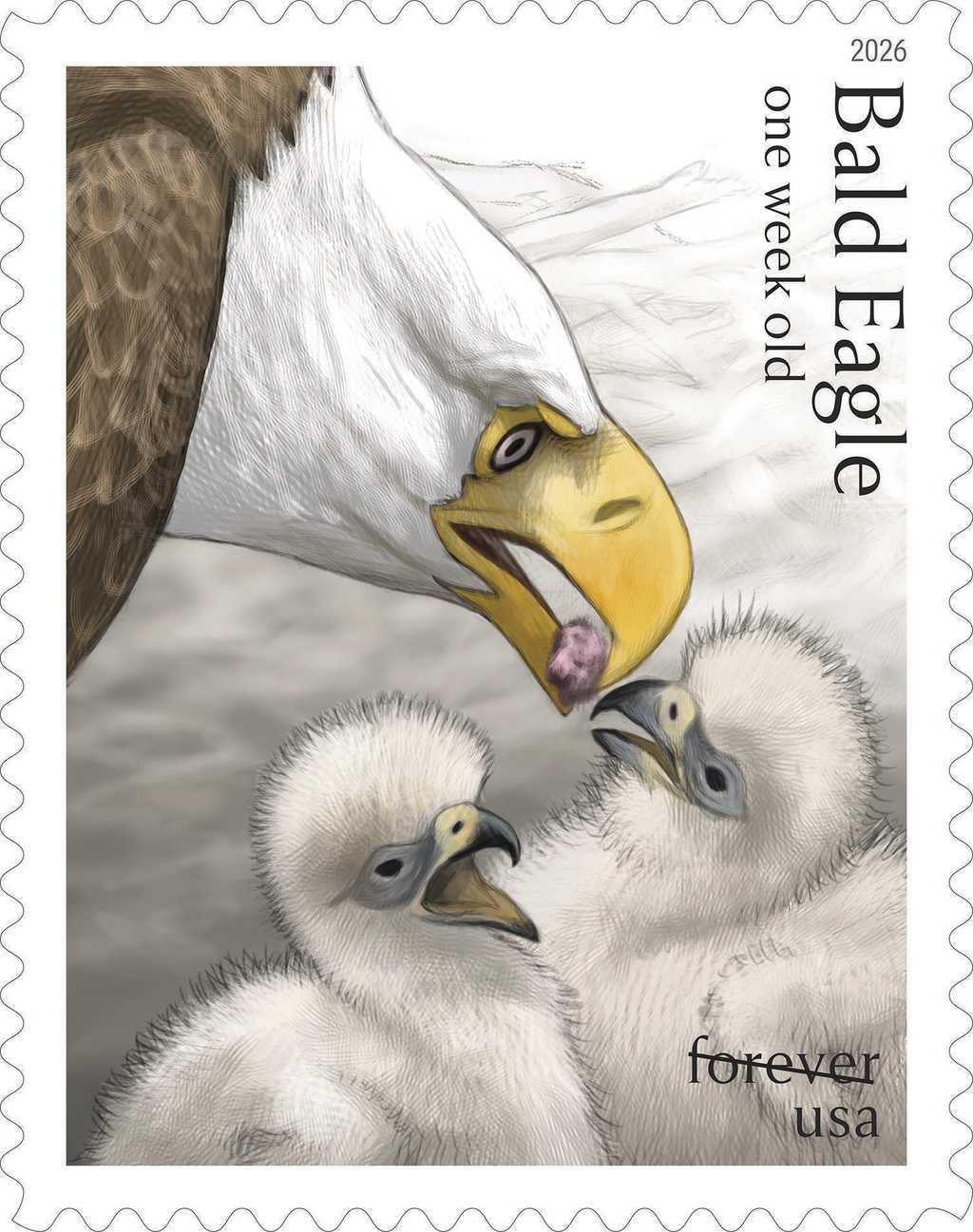 USPS releases bald eagle stamps for America’s 250th birthday - WJCL