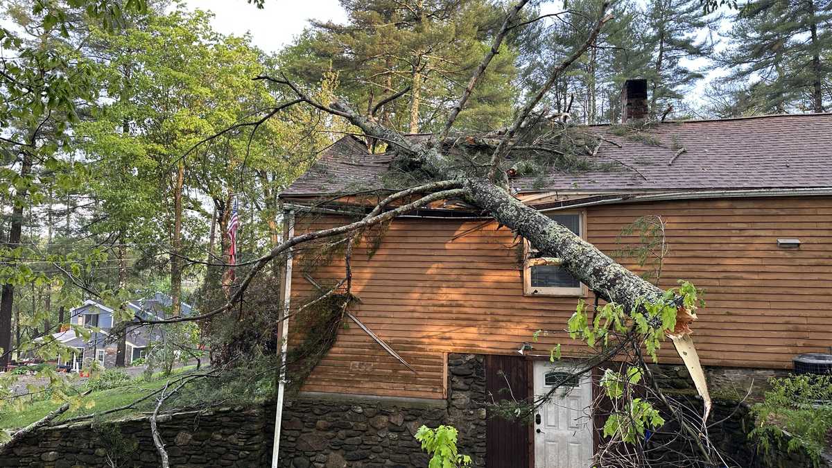 Trees fall on homes, cars as storms hit Massachusetts