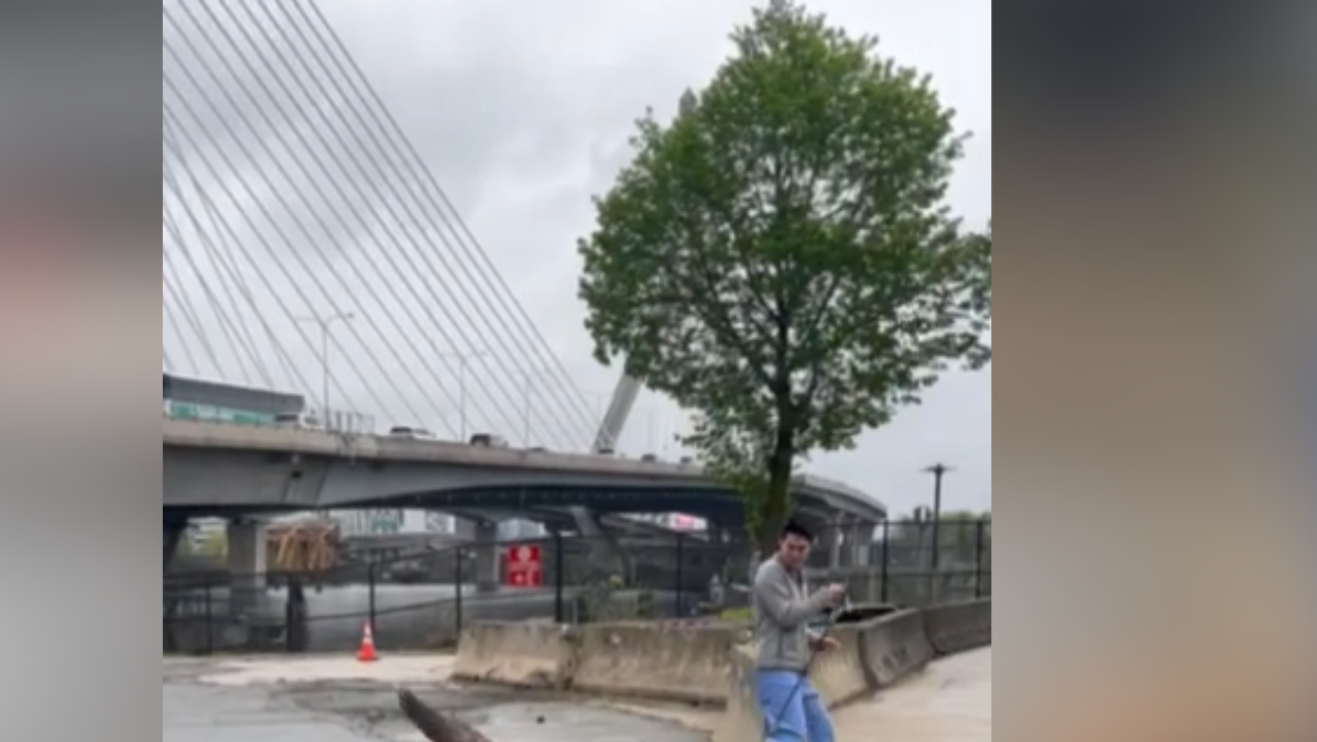 Puppy wins hearts after viral goose attack caught on video