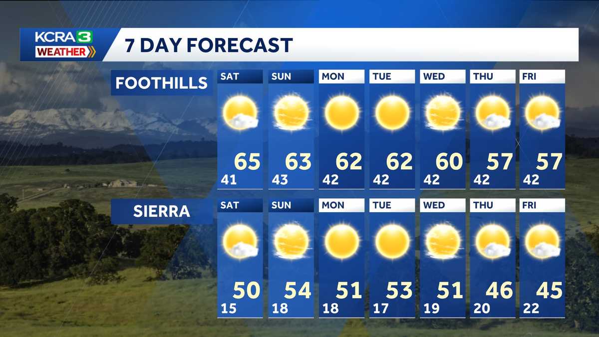 7 Day Forecast and Map Room