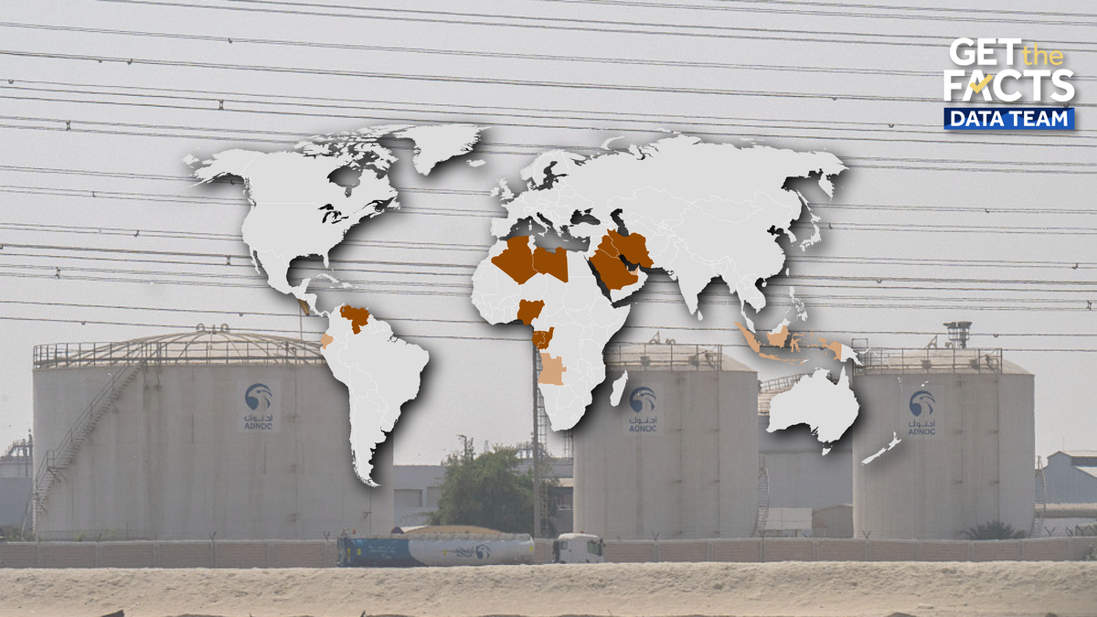 What countries are in OPEC after UAE exit? - WBBH
