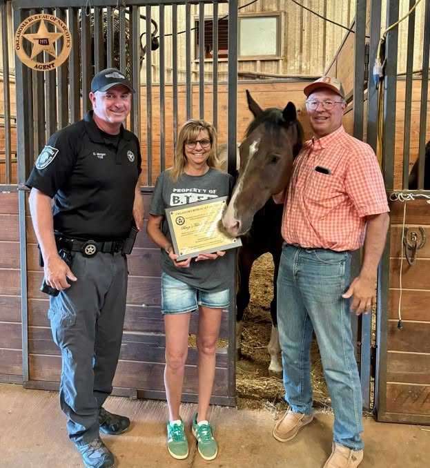 Horses seized in Oklahoma after major cocaine bust find new homes