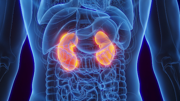 YMCA offering free kidney health screenings this week in Burlington